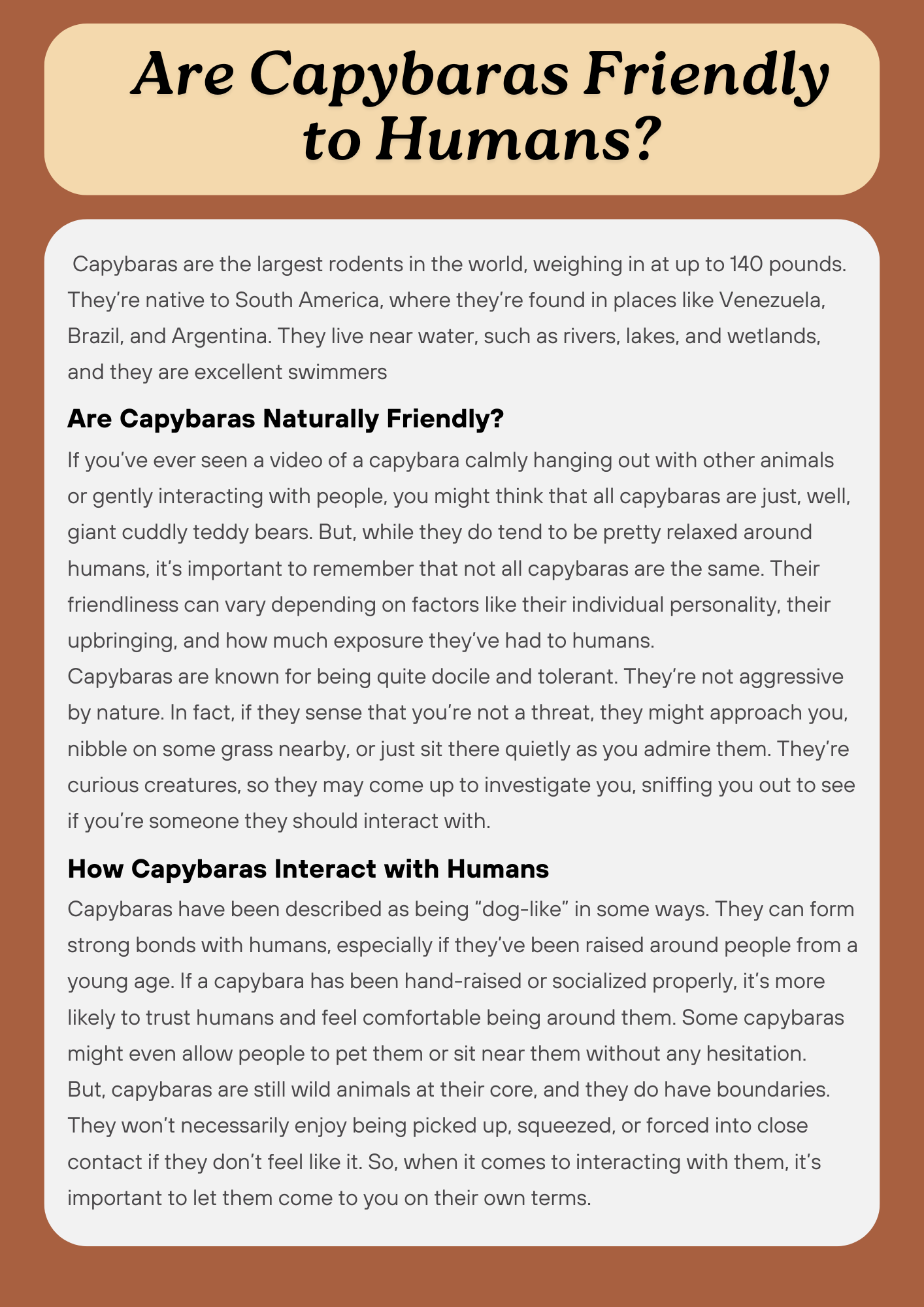 Are Capybaras Friendly to Humans? Interesting Facts 2025