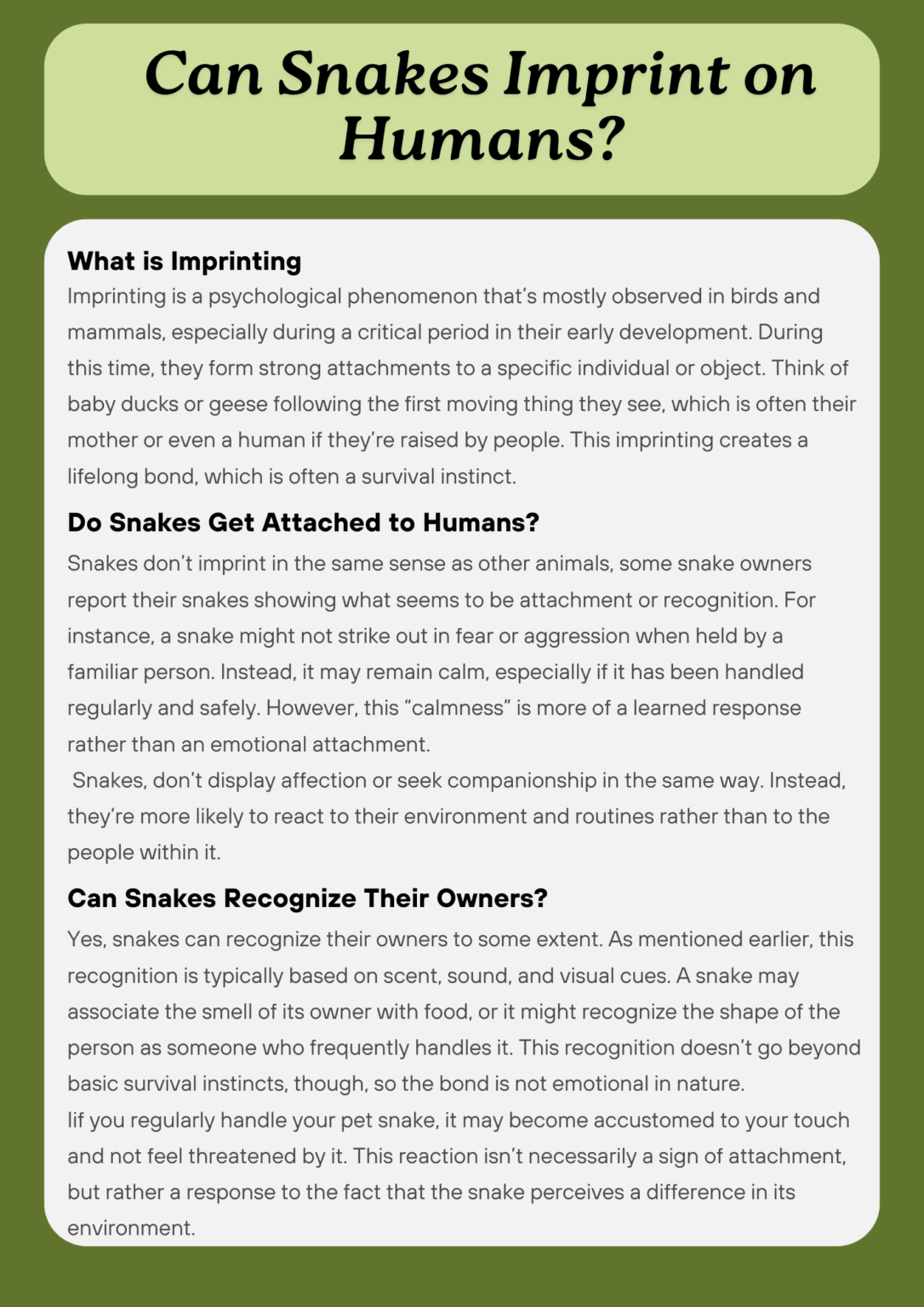 Can Snakes Imprint on Humans? The Science Behind It