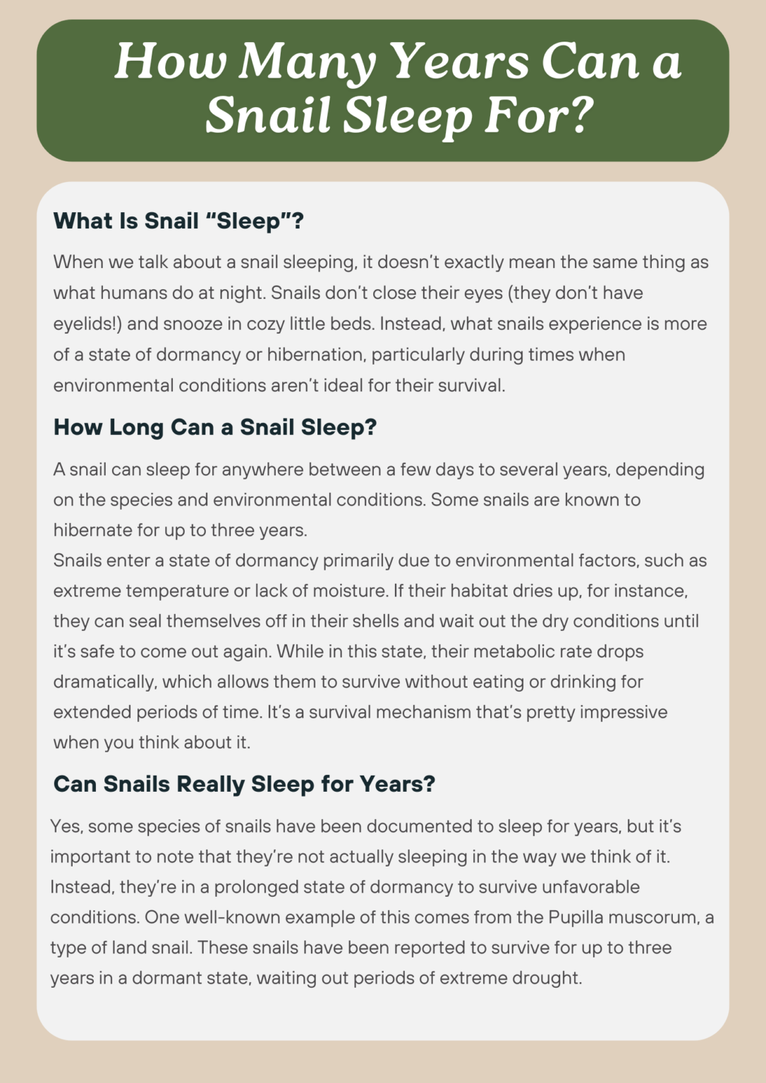 How Many Years Can a Snail Sleep For? - Bug Basics