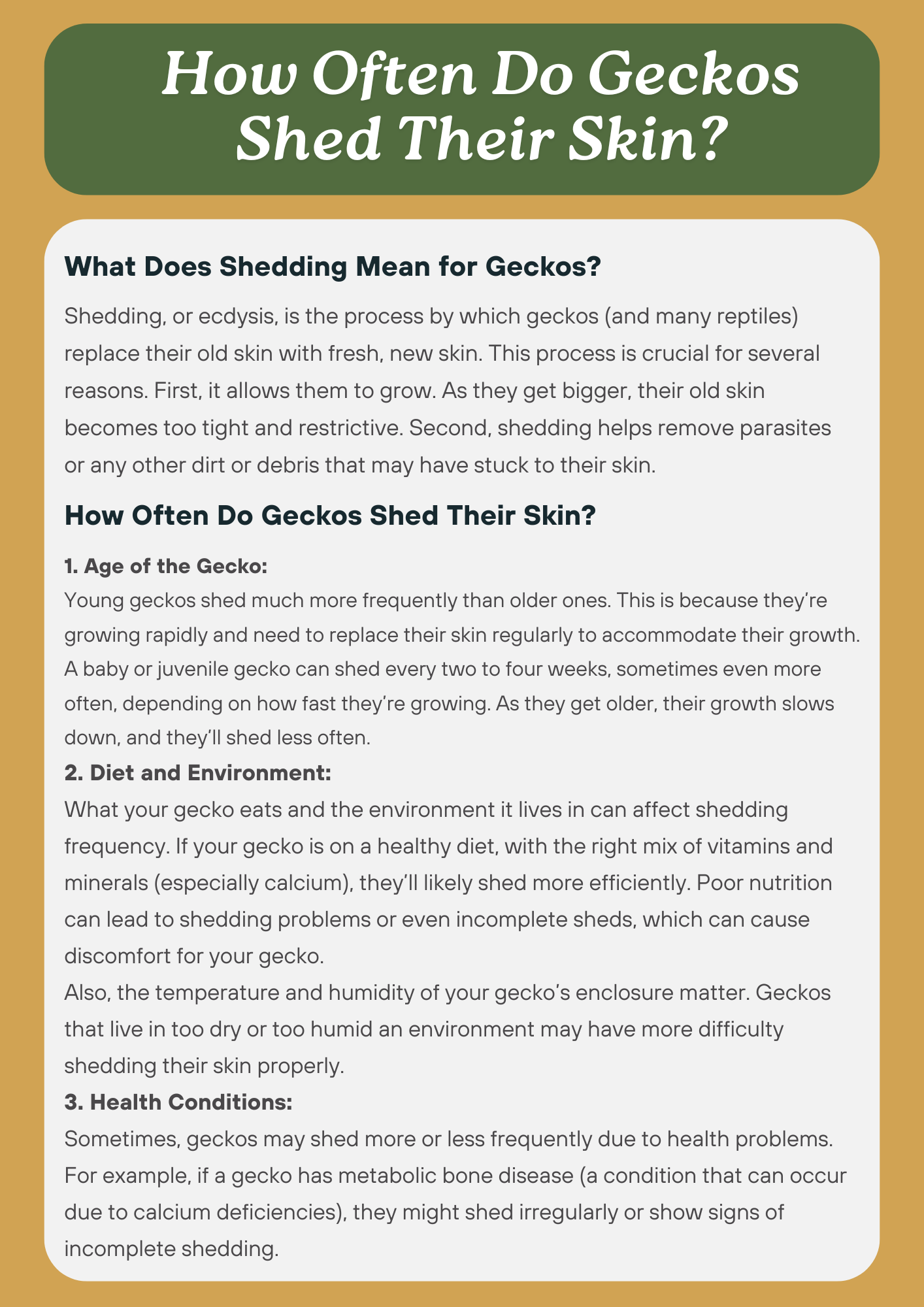 How Often Do Geckos Shed Their Skin? - Bug Basics