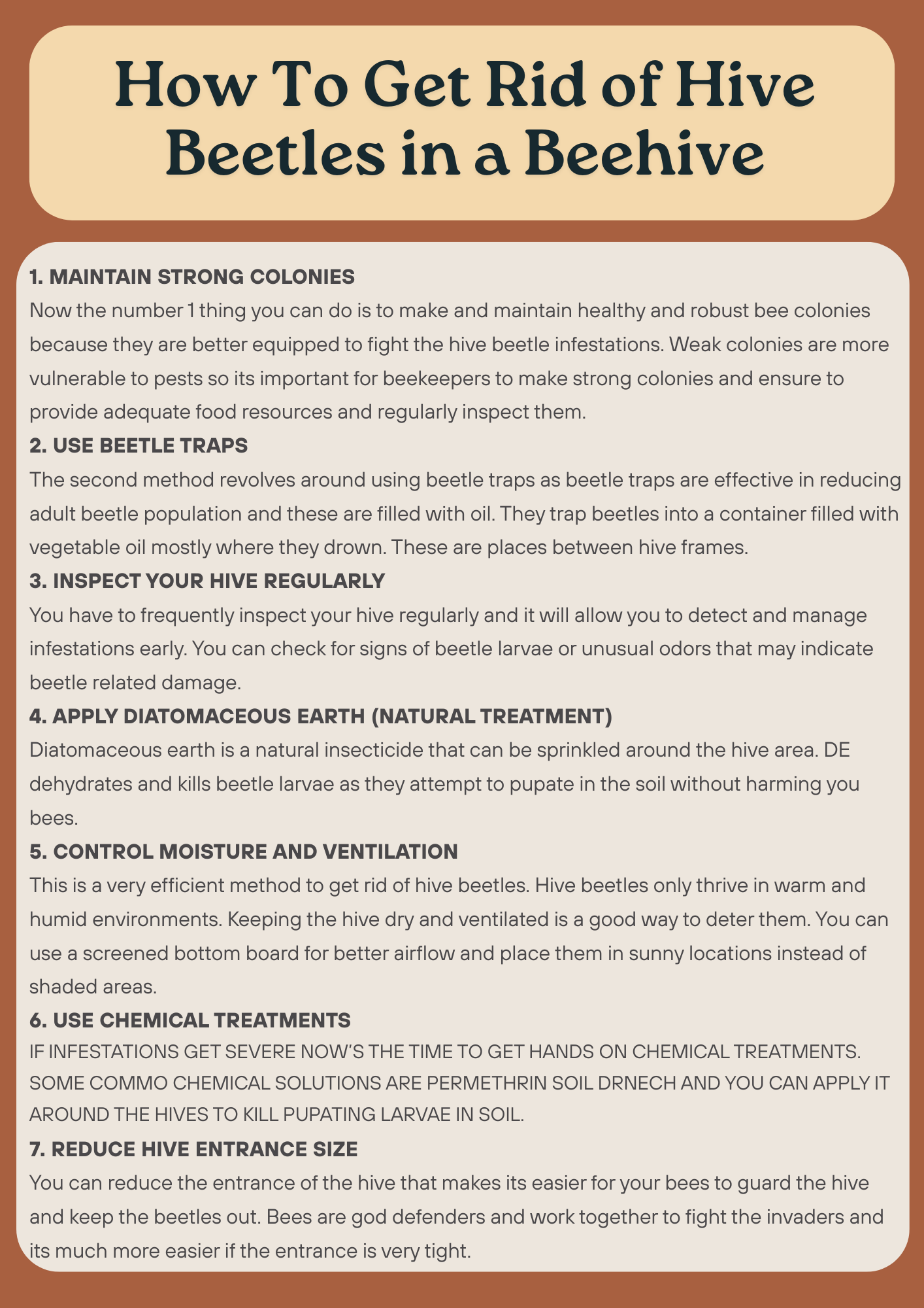 How To Get Rid of Hive Beetles in a Beehive: Detailed Guide - Bug Basics