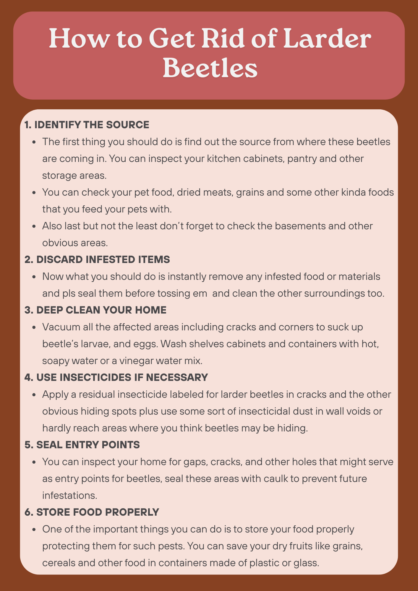 How to Get Rid of Larder Beetles: Comprehensive Guide - Bug Basics