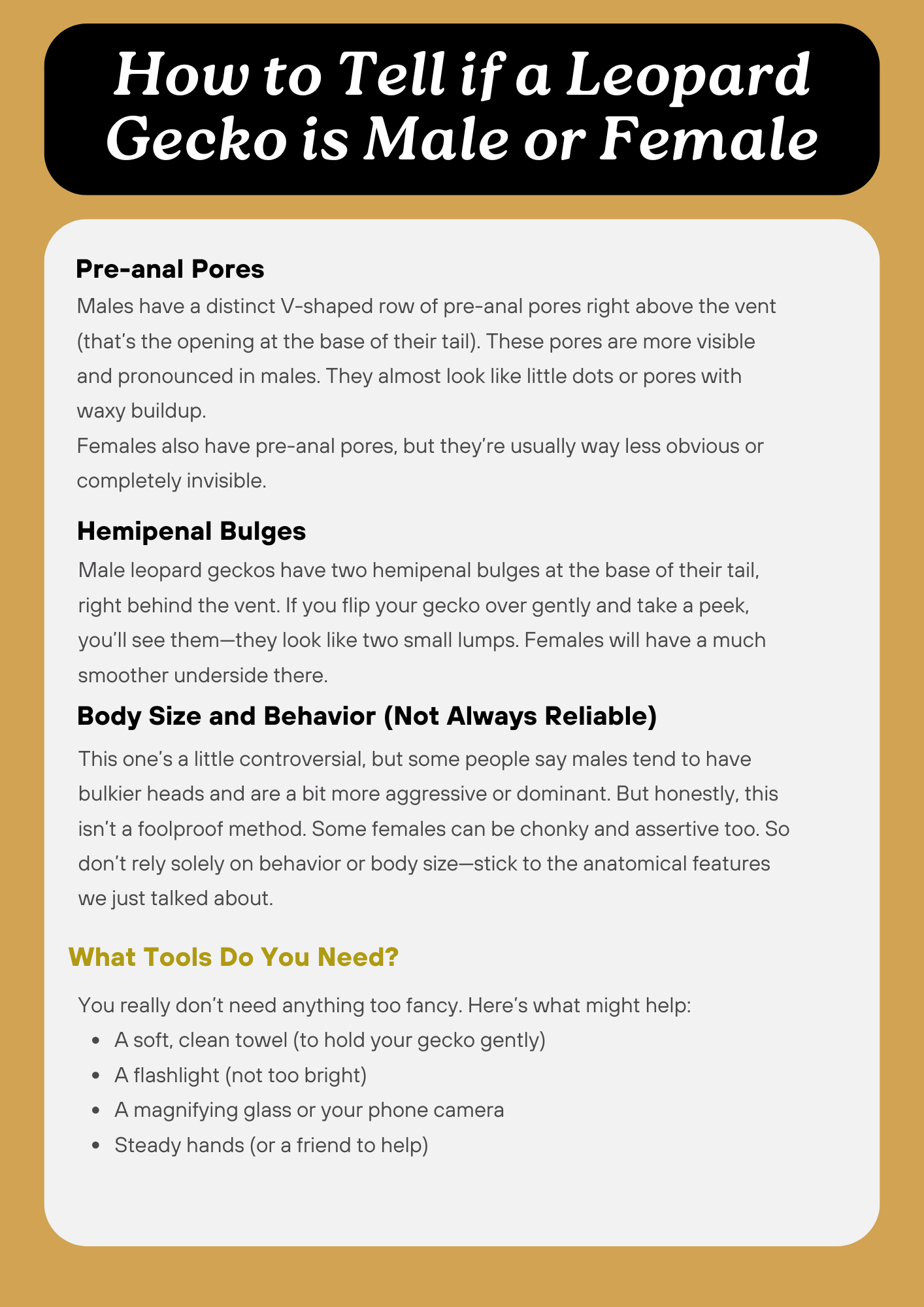 How to Tell if a Leopard Gecko is Male or Female
